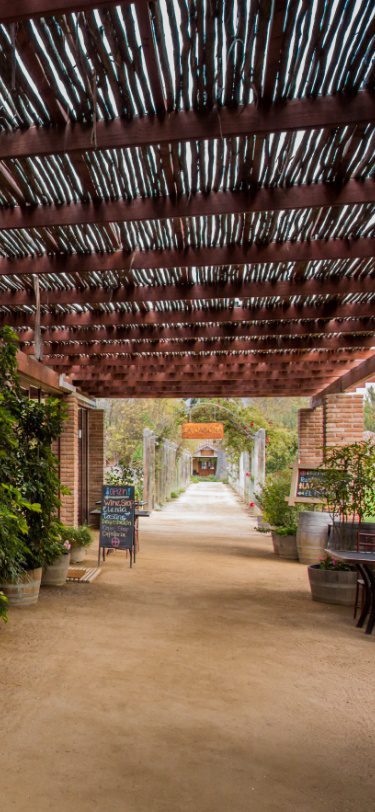 Home Hotel La Casona - Matetic Hotel