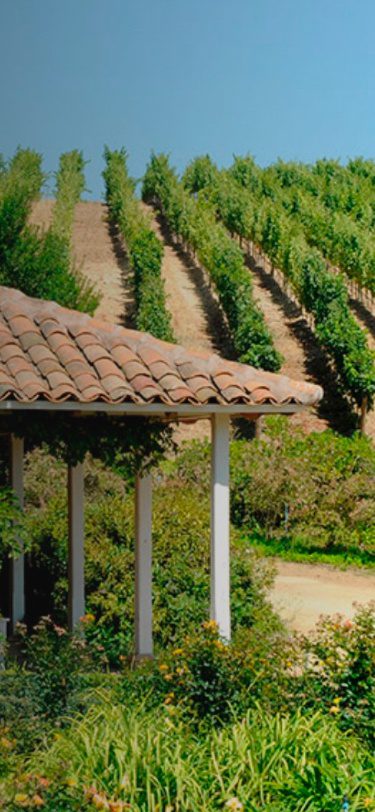 Home Hotel La Casona - Matetic Hotel